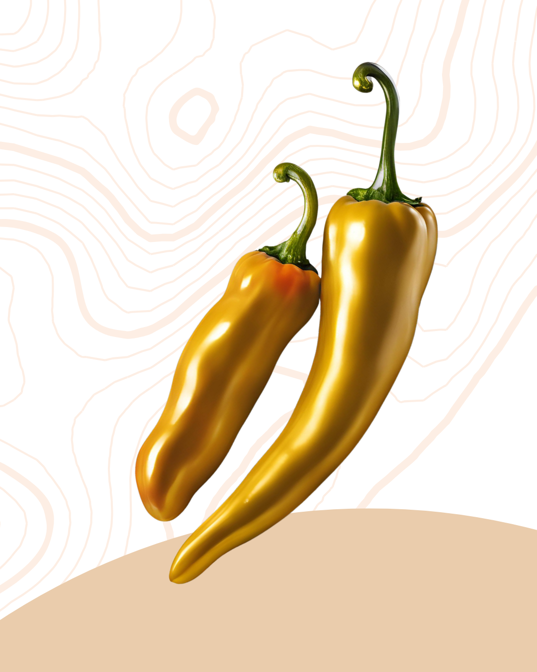 Le piment, une monnaie d’échange ?💰 | SHILLY SHALLY